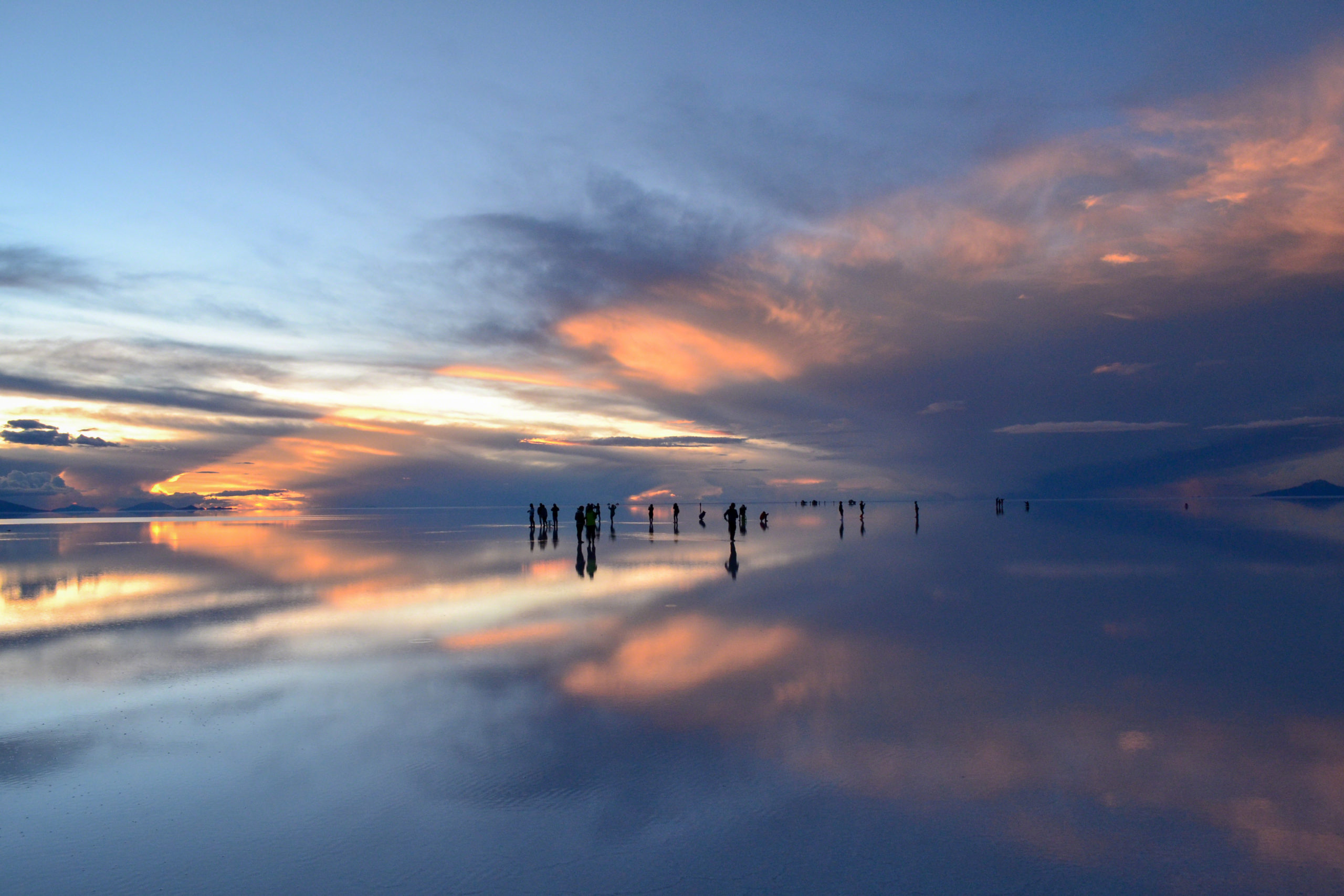 Alexander MacLean | 天王洲のアートスポット WHAT CAFE